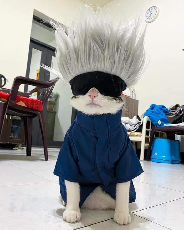Catoru Gojo - 9GAG