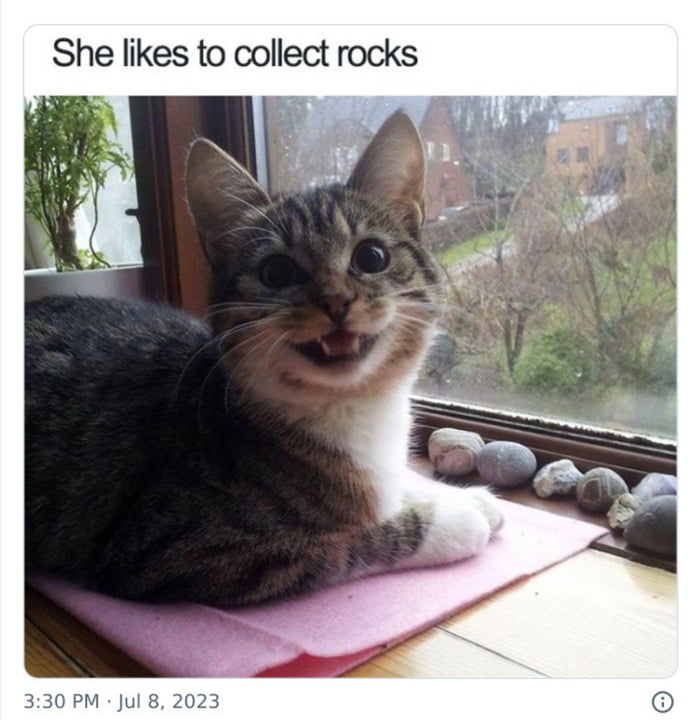 She likes to collect rocks - 9GAG