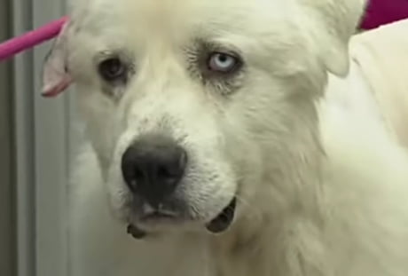 oopsie_wrong_hole - 9GAG