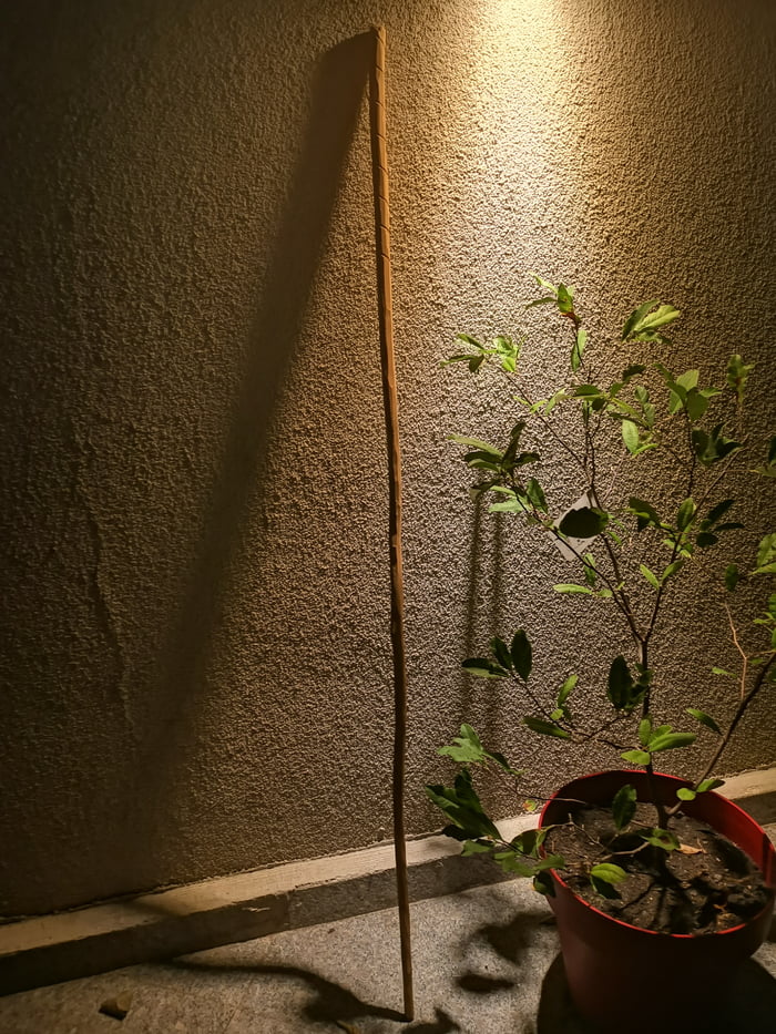 My long stick - 9GAG