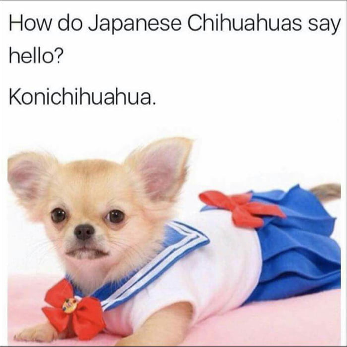 Konichiwhat's up bros? gomenasorry for my accent, my English isn't ...