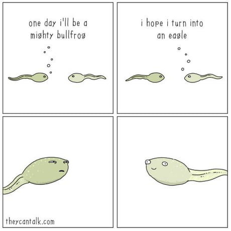 Best 30+ Tadpole fun on 9GAG