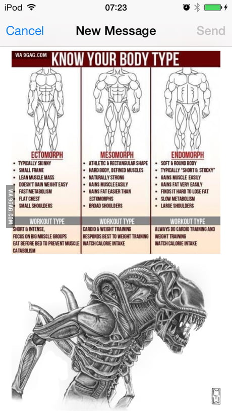 25 Best Ectomorph Memes Flats Memes
