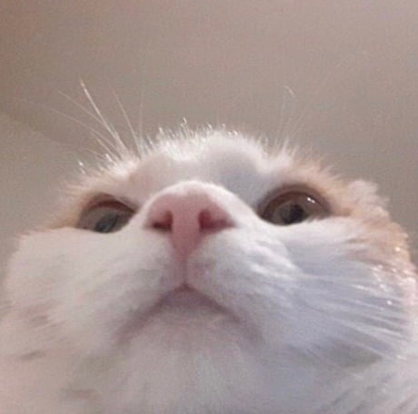 Best Funny front camera Memes - 9GAG