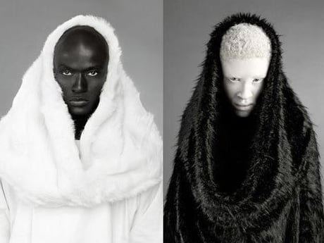 Melanistic Vs Albino