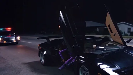 Adrienne Barbeau Cannonball Run Gif