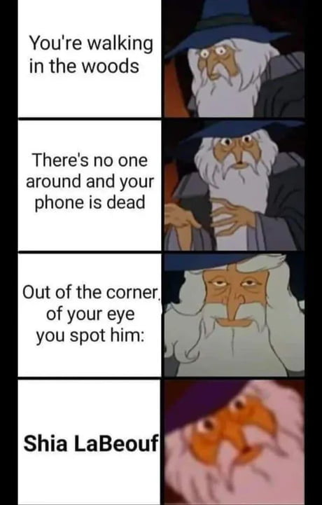 Best Funny shia lebeouf Memes - 9GAG