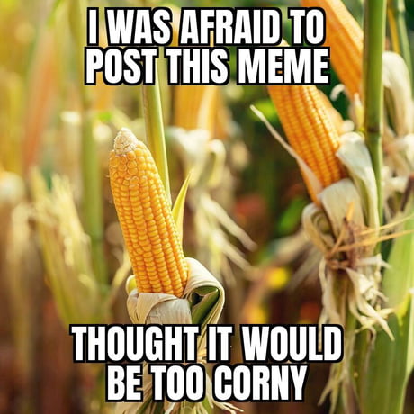 Corny Joke Meme