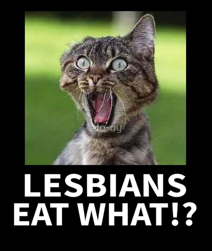 They really do.. - 9GAG