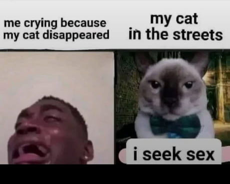 Best Funny the seks Memes - 9GAG