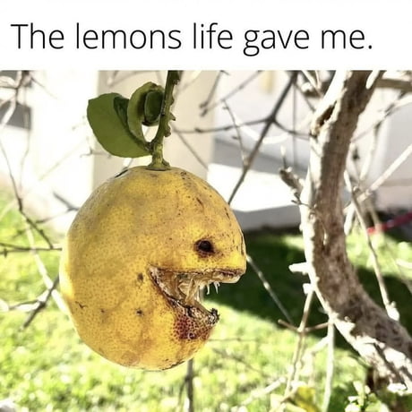 Best Funny screwed Memes - 9GAG