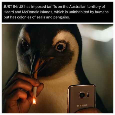 Funny Penguins Memes Penguin Animated Gif Maker Piñata Farms The