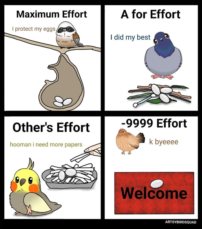 A for effort - 9GAG