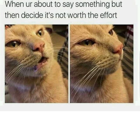 Best Funny silence Memes - 9GAG