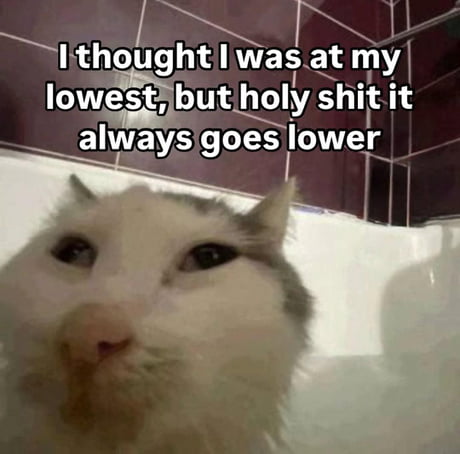 Best Funny damn Memes - 9GAG