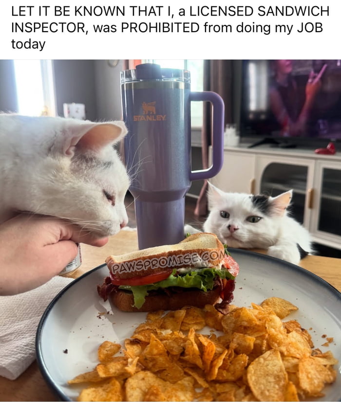 Throughout heaven and earth, I alone am the honored one. - 9GAG