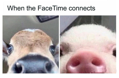 Funny Nose Memes Blowing Nose Rage :) Memedroid