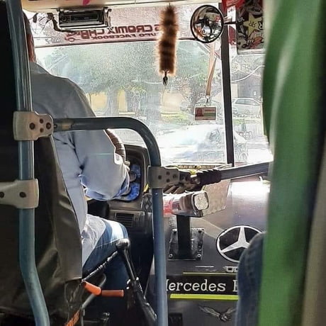 Best Funny furry Memes - 9GAG