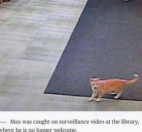 Best Funny max Memes - 9GAG