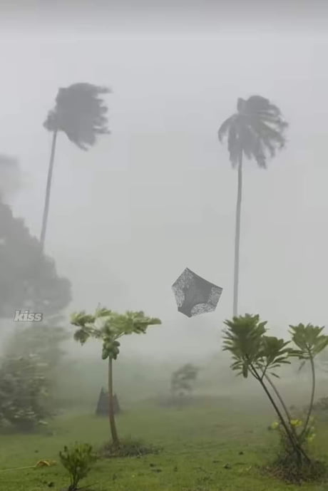 Best Funny typhoon Memes - 9GAG