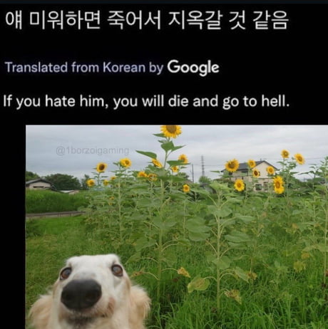 Best Funny Korean Memes 9gag