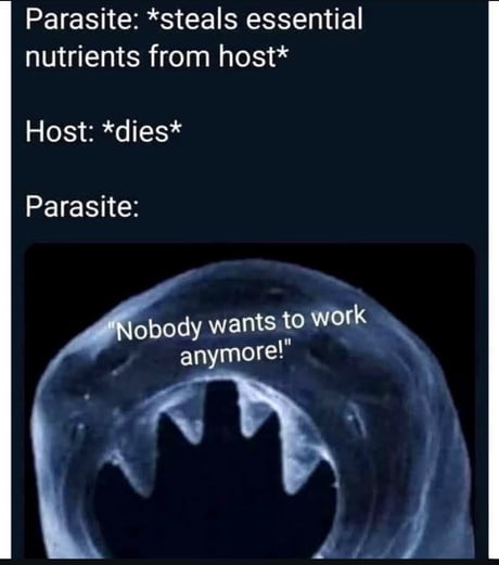 Best Funny parasite Memes - 9GAG