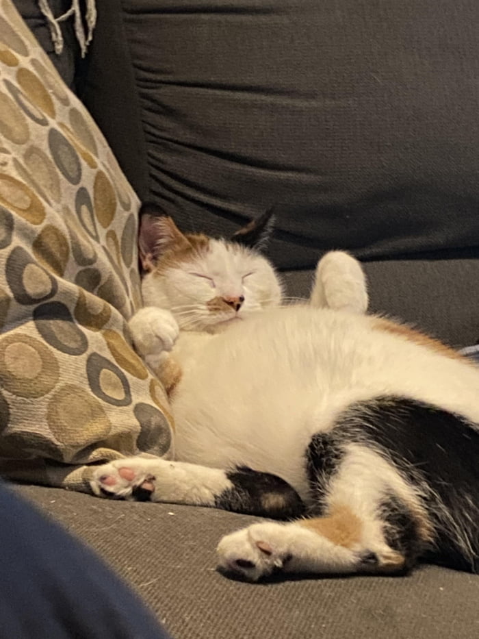 After a hard days work - 9GAG