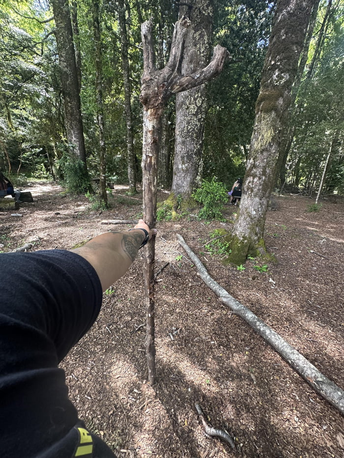 Hey guys. I went to the forest and found this stick. Does the Stick ...