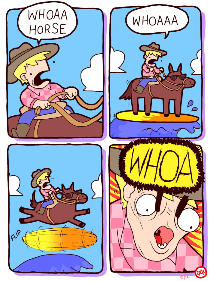 Whoa horse - 9GAG