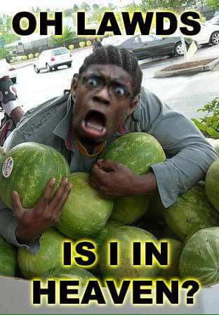 Best Funny watermelon Memes - 9GAG