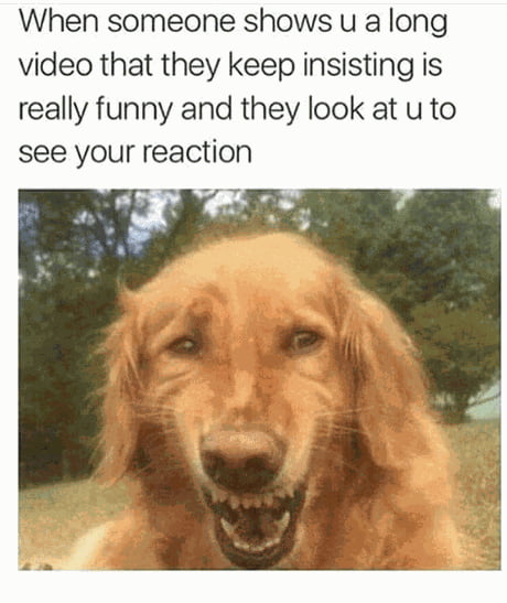 Cute Smile Memes Hello Kitty Memes: 35 Hilarious Memes For Every
