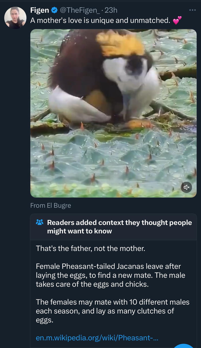 Community notes got another one - 9GAG