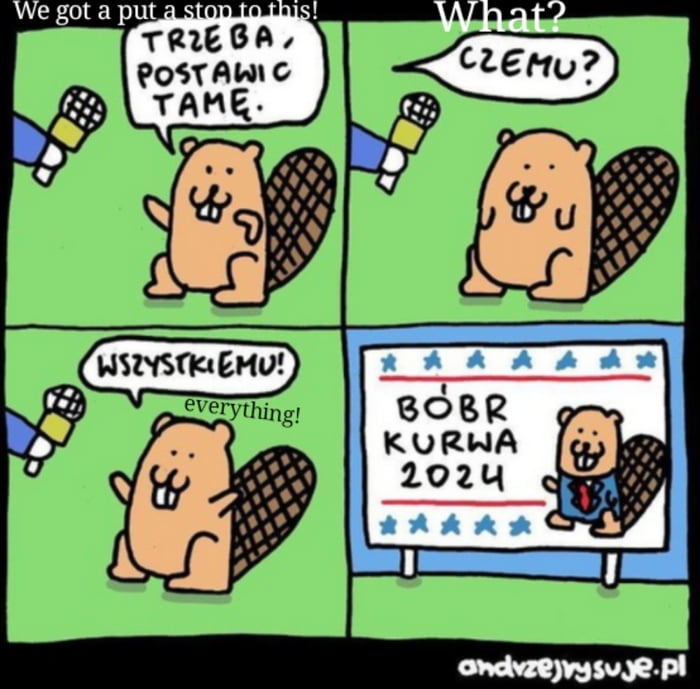 Bobr for president. It's a pun - 9GAG