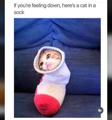 Best Funny sock Memes - 9GAG