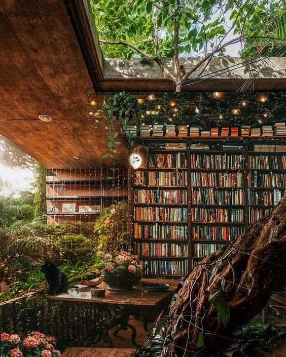Outdoor Library Garden - 9GAG