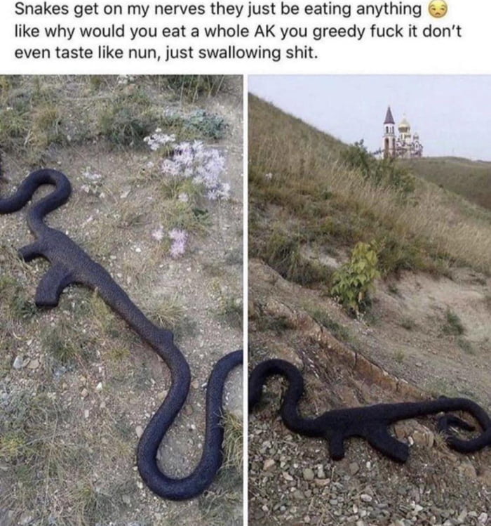 Goody ahh snakes - 9GAG