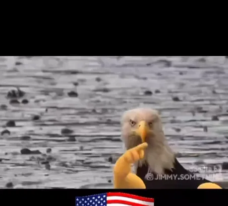 Merica Eagle Gif