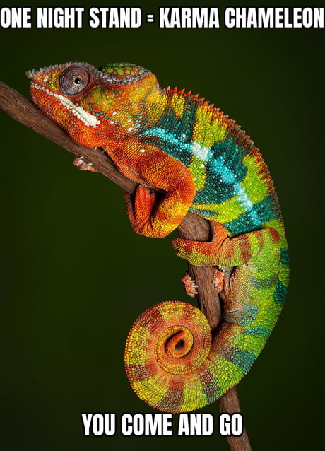 Karma Chameleon Memes