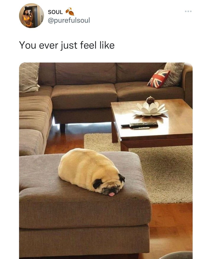 Post Dinner mode. Happy Thanksgiving! - 9GAG