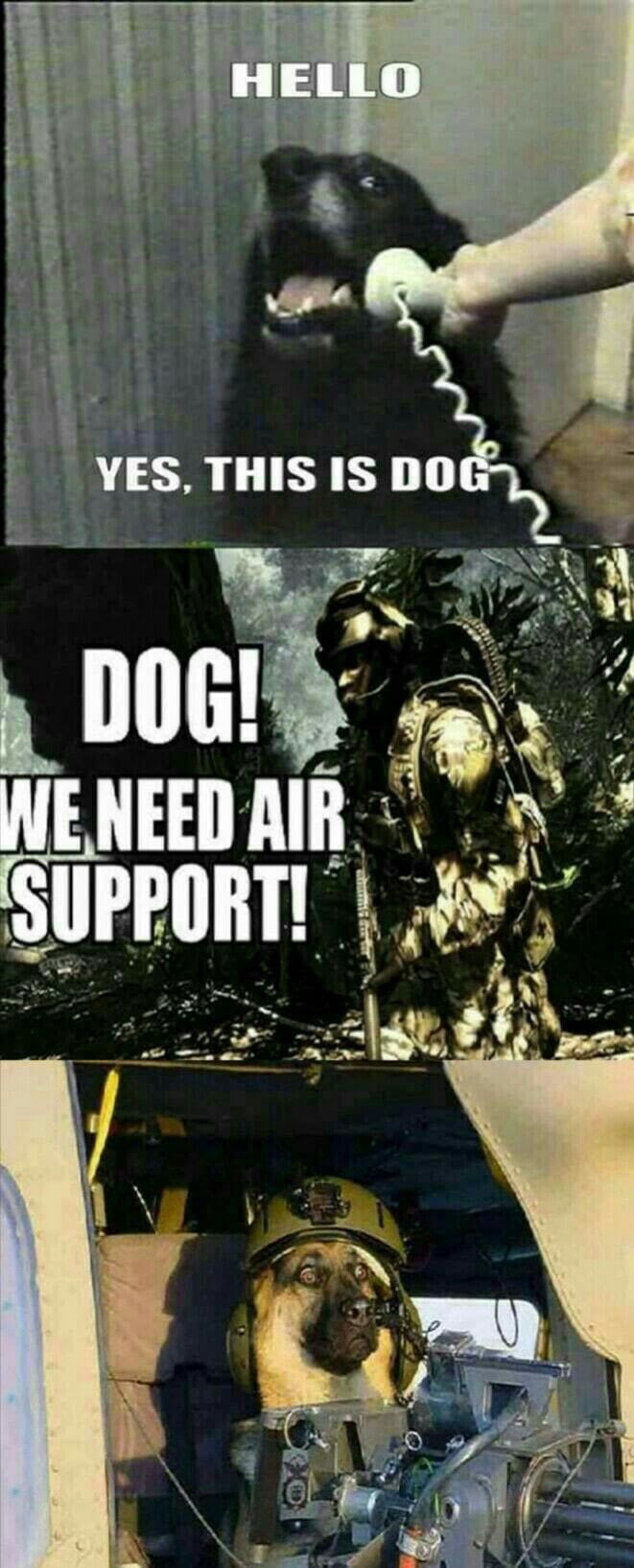 Dog! We need air support - 9GAG