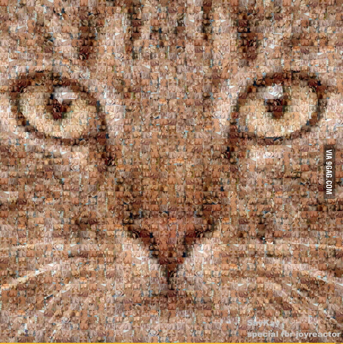 Please dont zoom it. - 9GAG