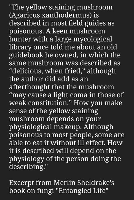 Best Funny shrooms Memes - 9GAG