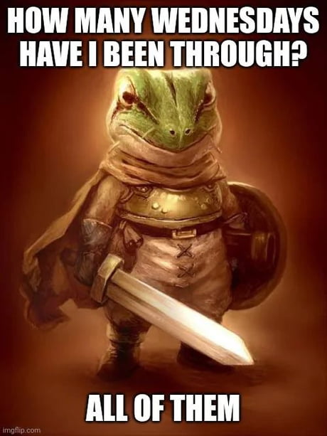 Best Funny aaaaaaaaaaaaaaaaaaaaaaaaa Memes - 9GAG