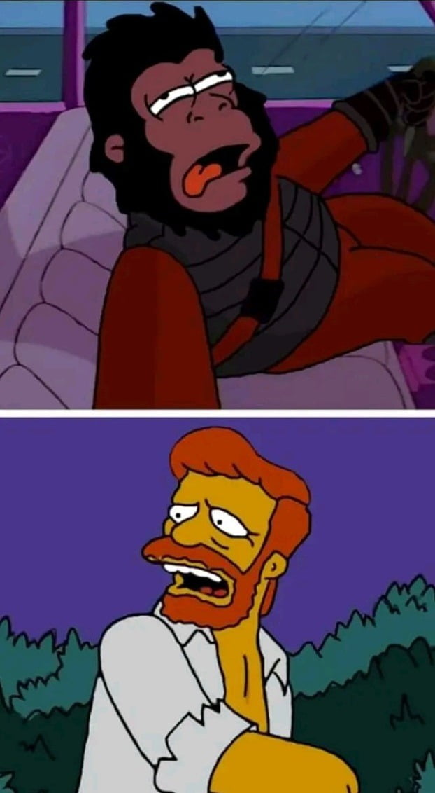 Meme Simpson - 9GAG