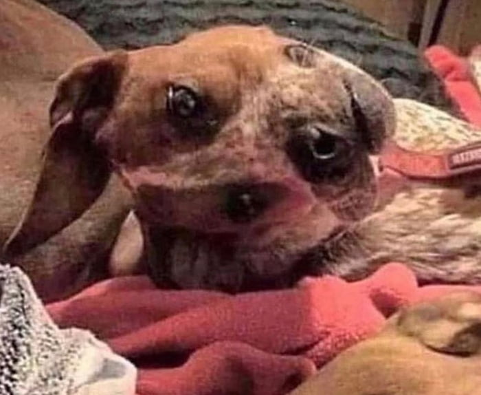 Give it a second to go from ooh, to awww - 9GAG