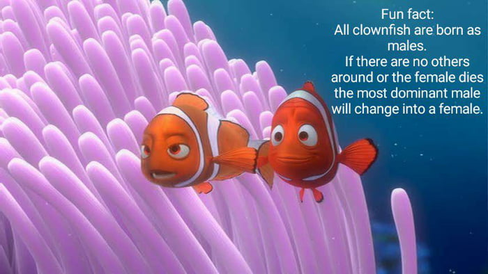 Nemo's mom was boss. - 9GAG