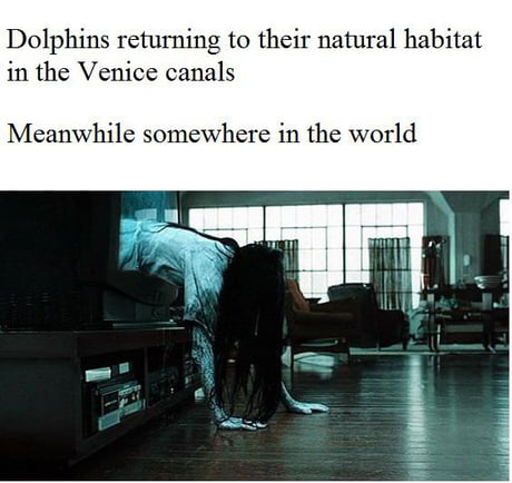 Samera The Ring Meme