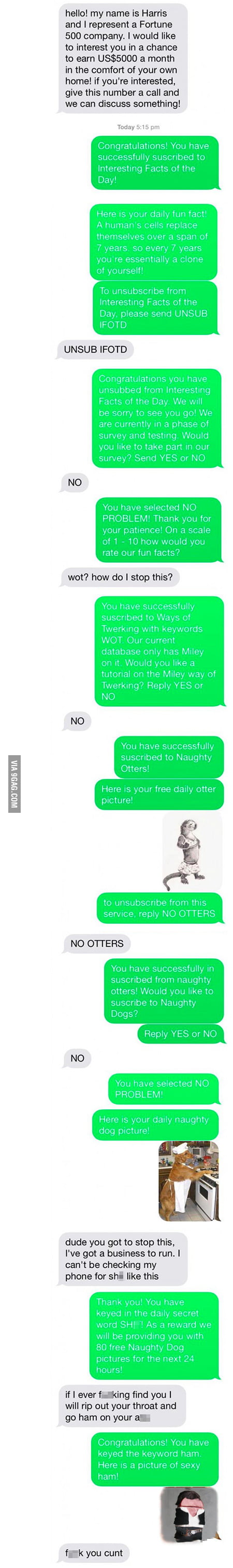 Best text reply to a SPAM ever - 9GAG