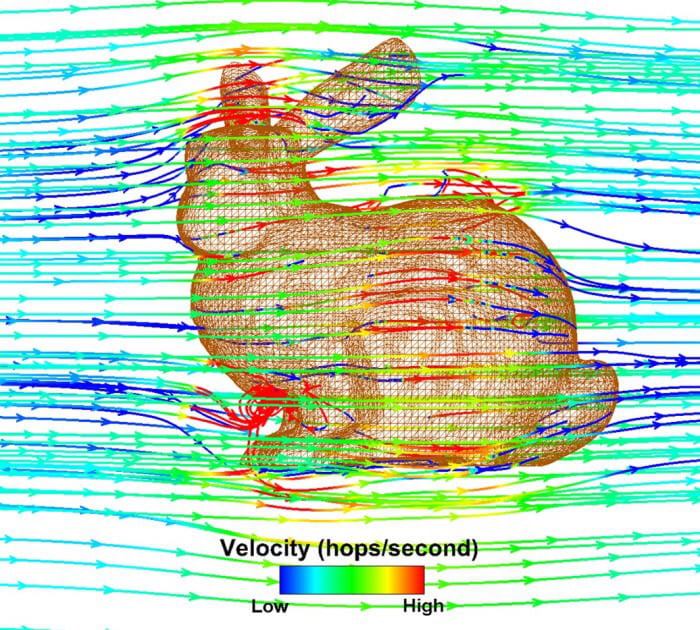 Aerodynamics of a bunny. - 9GAG