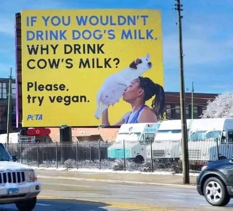 Best Funny milk Memes - 9GAG